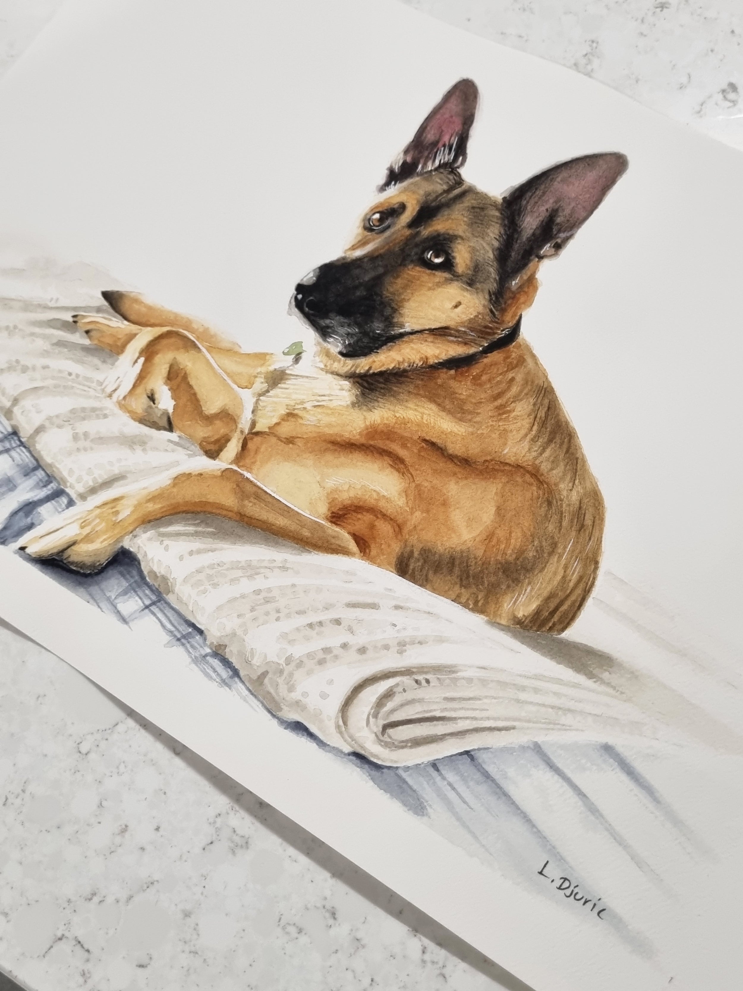 Commissioned Australian Artwork – Louisa Djuric Art